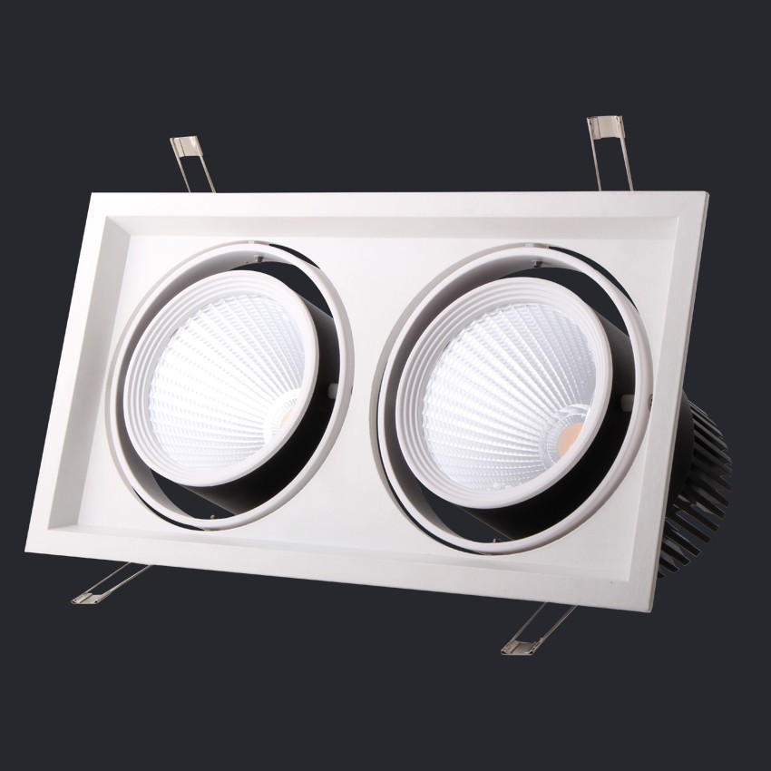 NEX Neolux LED Grille light 2*15W AC 100-240V/220-240V CRI80 3000K 15D ...